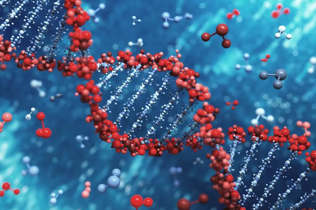 gDNA 样本质控 | 中江举帆